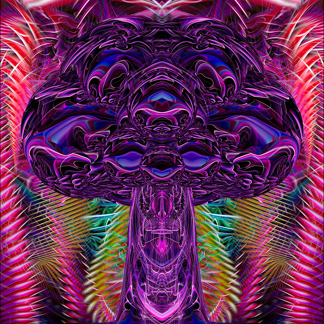 STARBORN PRINT – Johnathan Singer Art